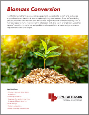 Decoding Biomass Energy